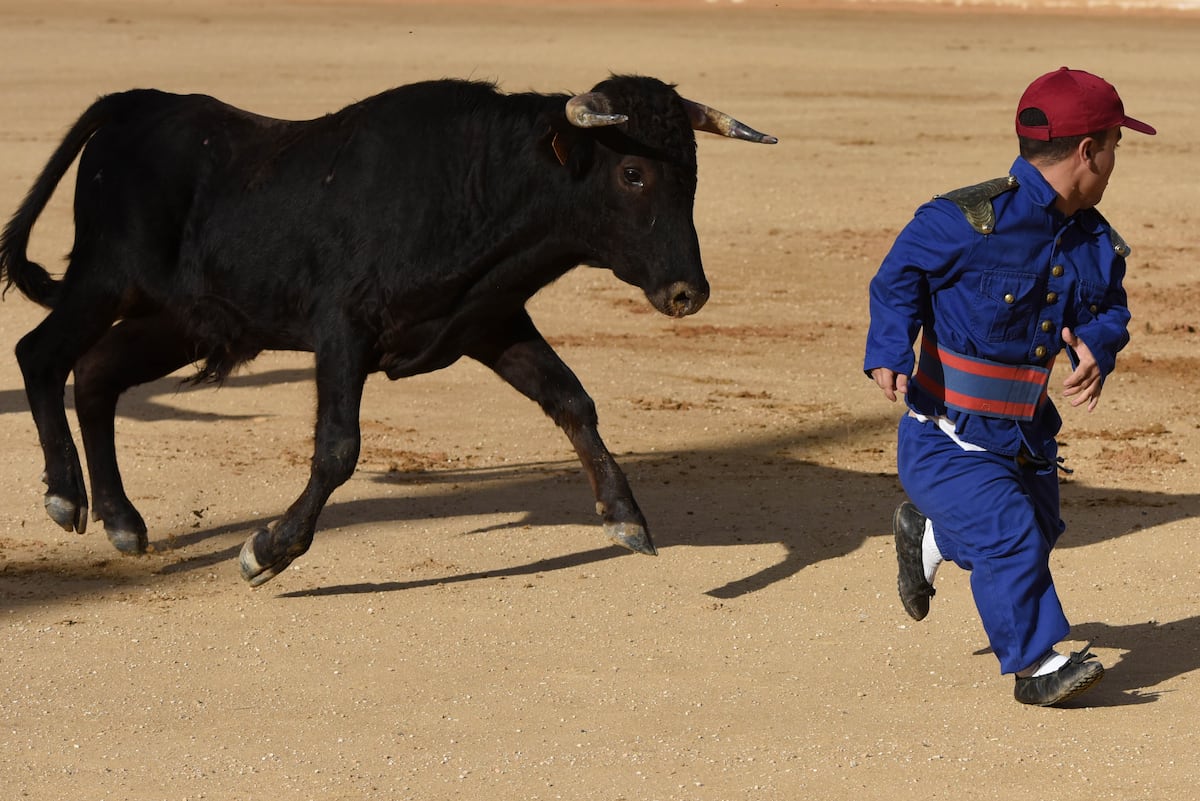 Se acabaron los enanos toreros en los espectáculos: “No somos payasos ...