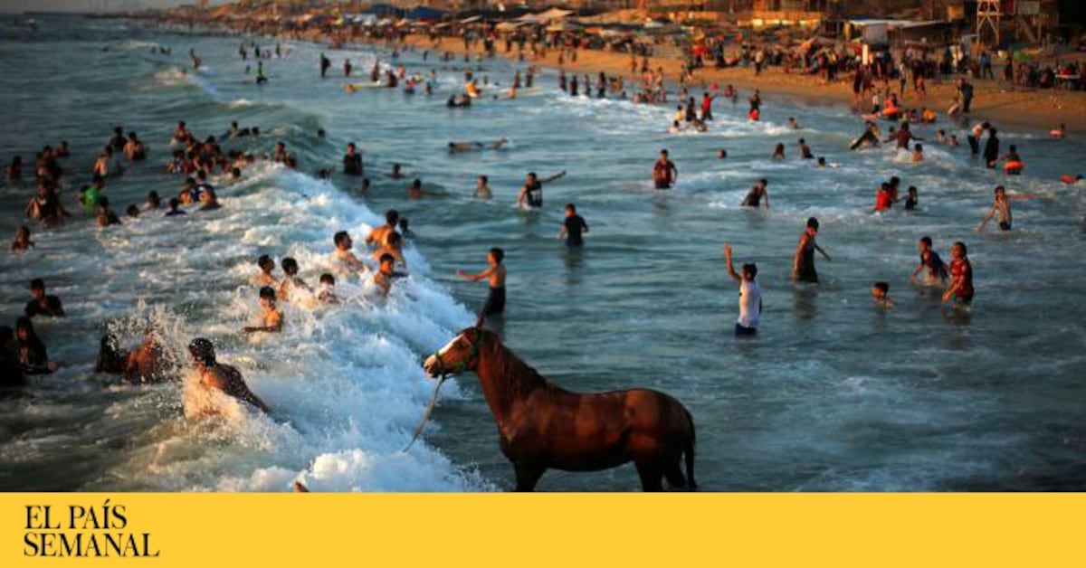 El verano en Gaza: la playa es una vía de escape a la guerra y la ...
