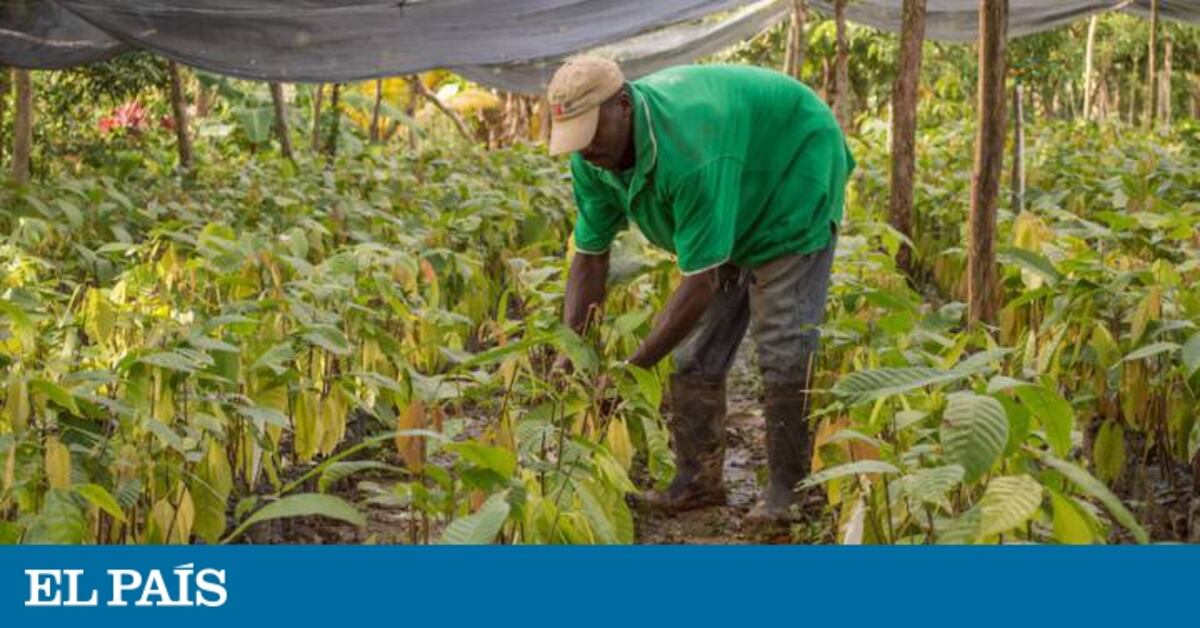 Por qué el Corredor Seco centroamericano debe ser noticia | Planeta ...