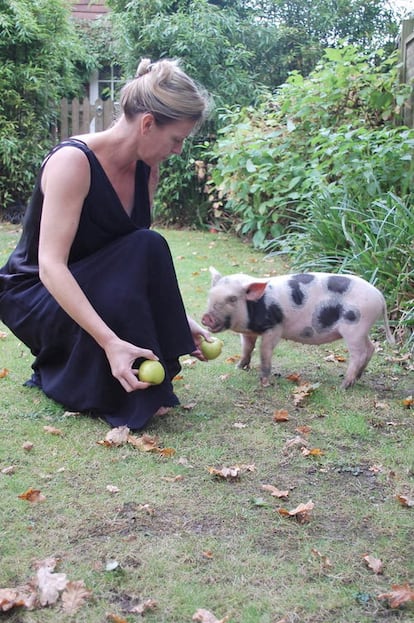 Lecciones de amor y vida de dos cochinos | Ciencia | EL PAÍS