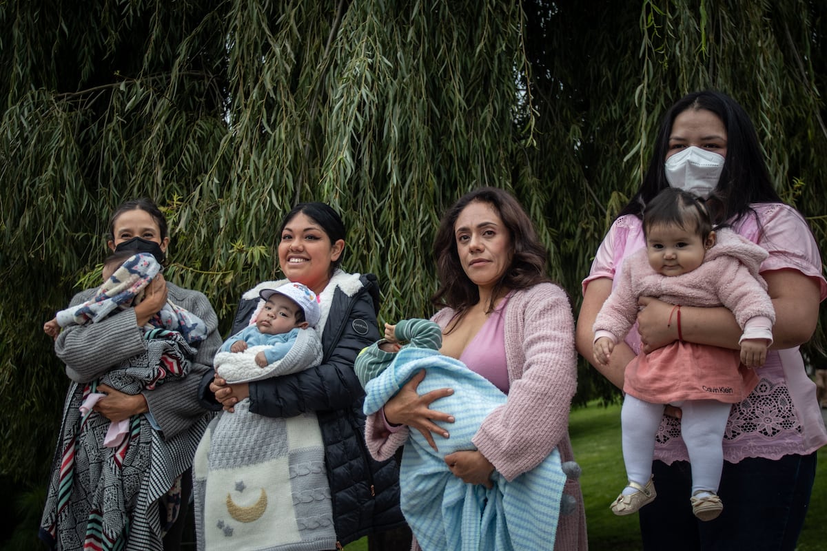 Lactancia materna: Las mexicanas abandonan la lactancia materna ante la ...