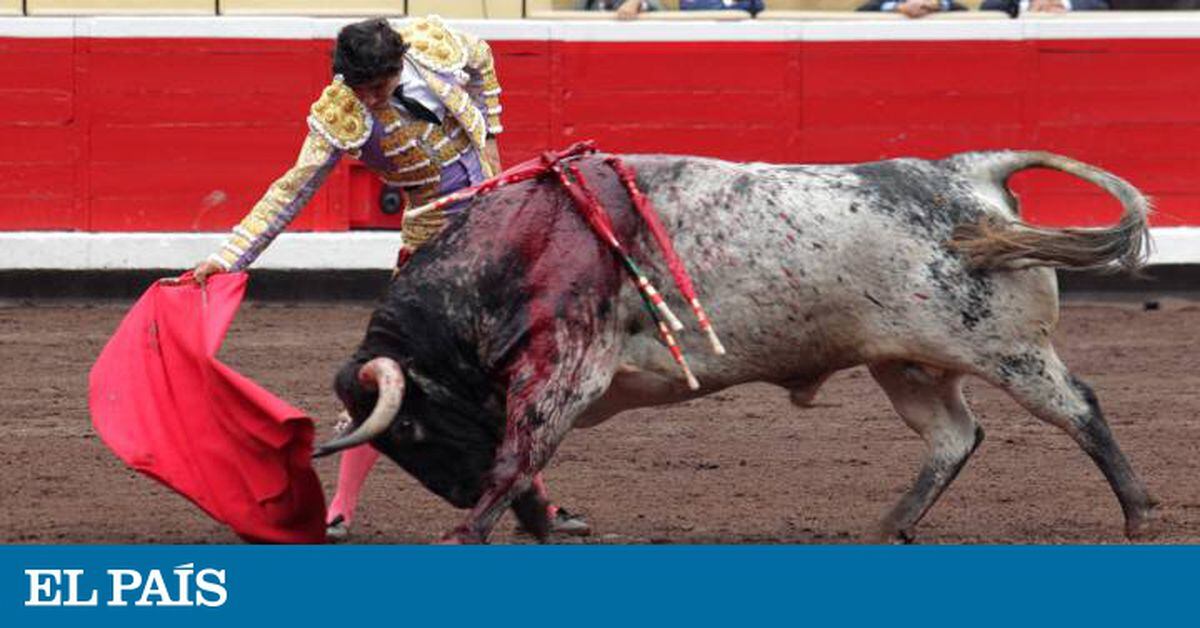 Que no te toque un toro encastado… | Cultura | EL PAÍS