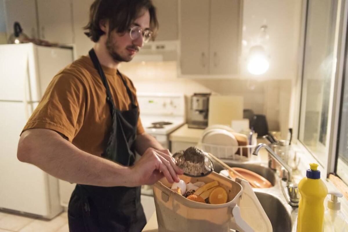 Cómo saber si eres principiante o experto en reciclaje. ¿Te sientes ...