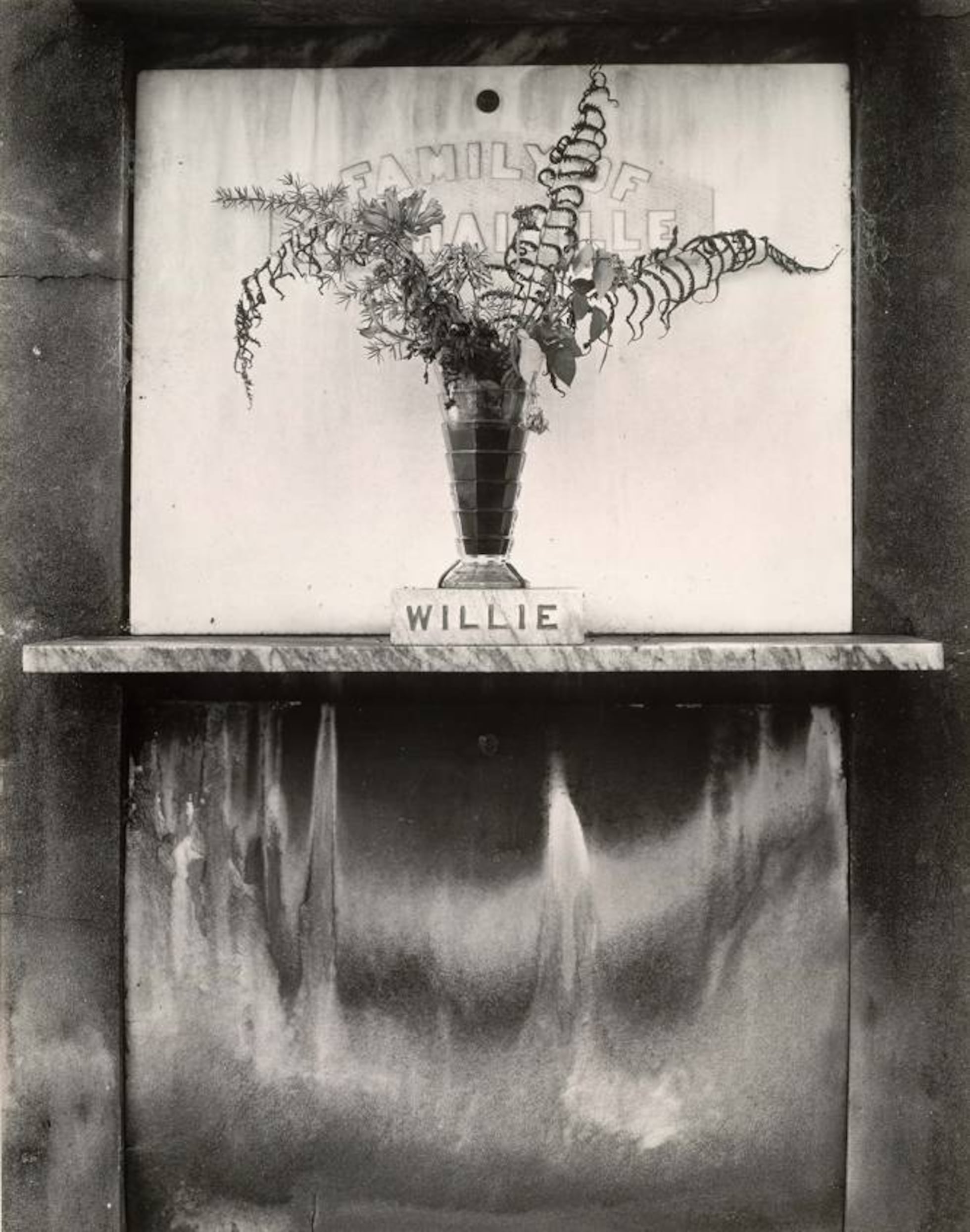 La América de Whitman a través de la mirada de Weston | Fotos | Cultura ...