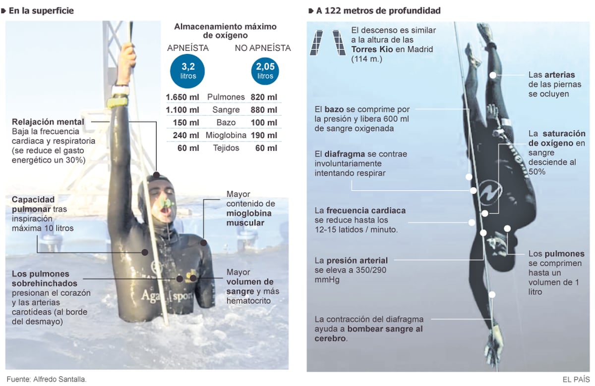 Efectos de la Apnea en el cuerpo | Deportes | EL PAÍS