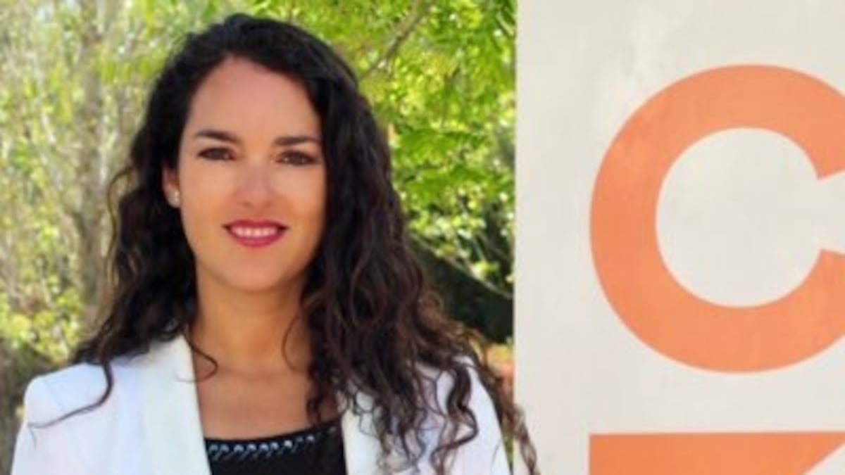 Gema Palomo: Cs destituye a un cargo de confianza en la Diputación de Málaga tras ir a trabajar ...