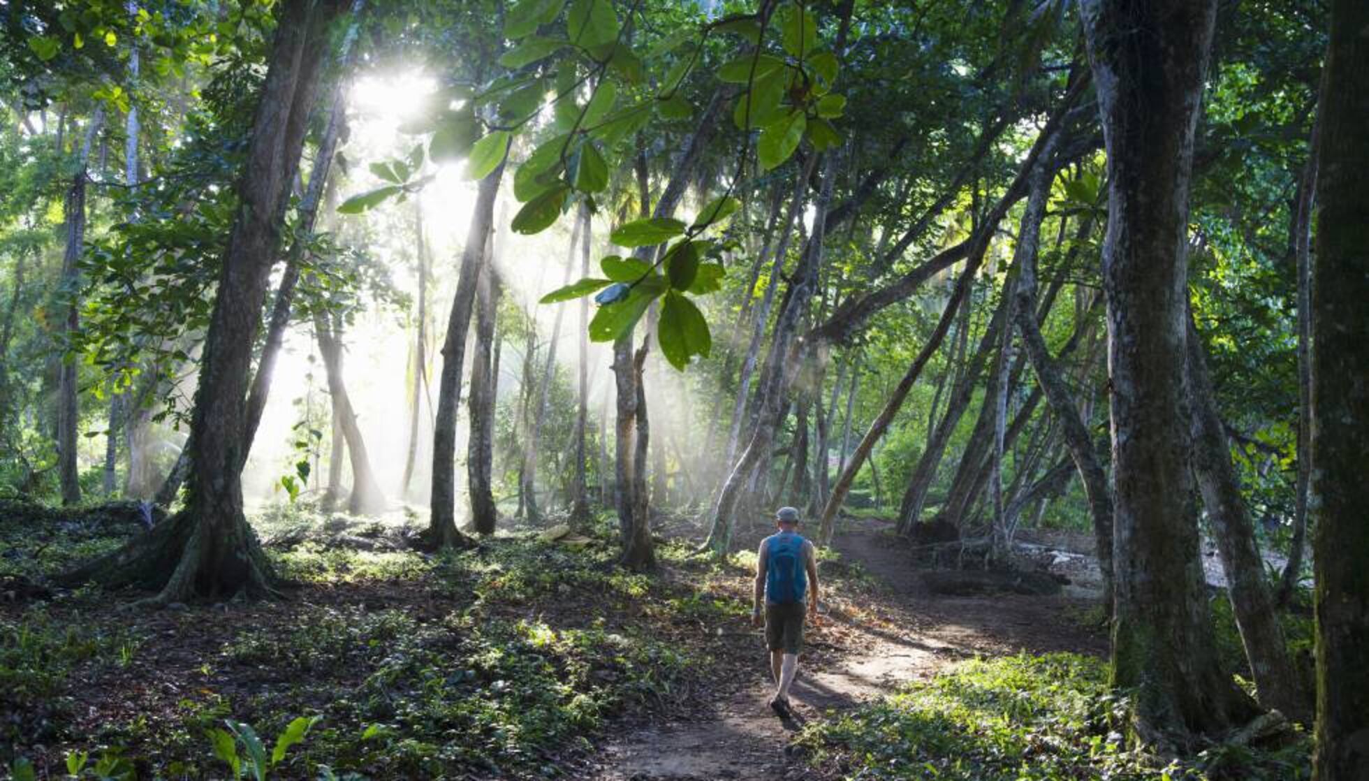 Medio ambiente: Costa Rica abre el camino hacia el fin de los plásticos ...