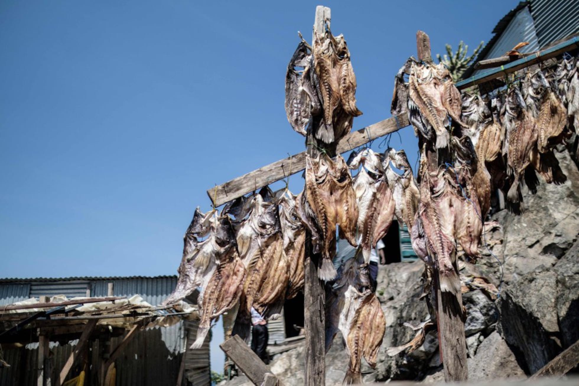 Migingo, una isla diminuta, motivo de disputa entre Kenia y Uganda ...