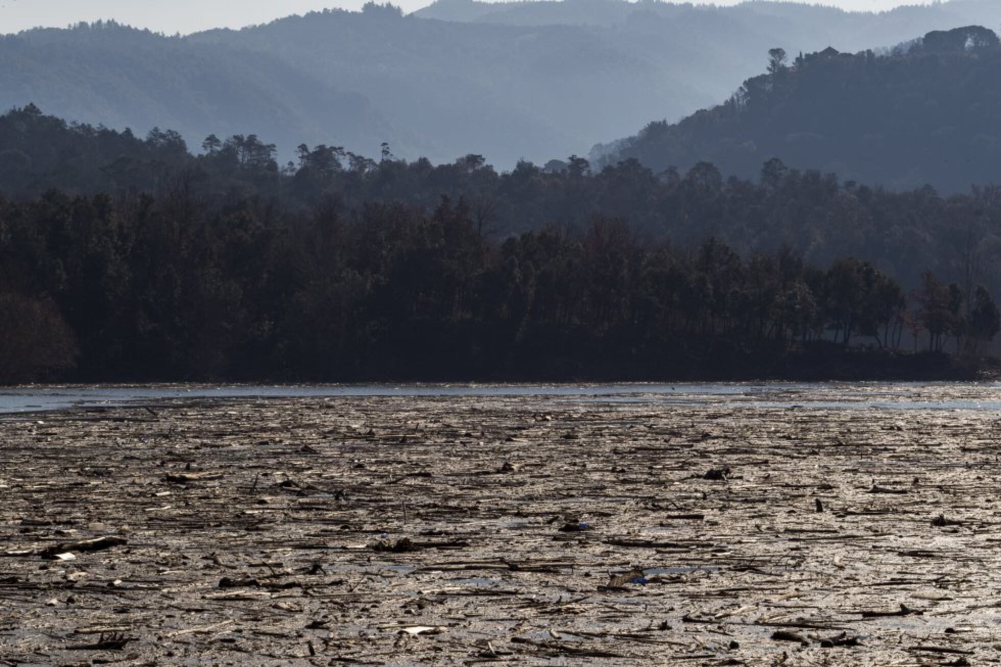 Fotogaleria | La neteja del pantà de Sau després del pas del temporal ...