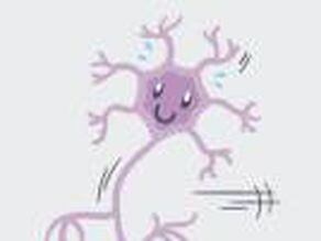 La metáfora del bambú: no te confundas con tus objetivos a corto plazo ...