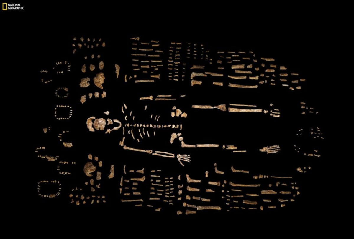 El ‘Homo naledi’, descubierto en Sudáfrica | Fotos | Ciencia | EL PAÍS