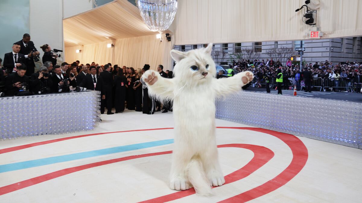 Vídeo | Jared Leto acude a la Gala Met 2023 disfrazado de gato | Vídeos ...