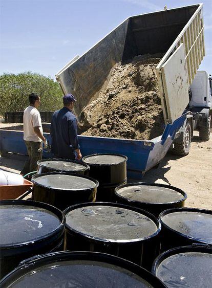 Arena contaminada en la playa de Doñana | Sociedad | EL PAÍS