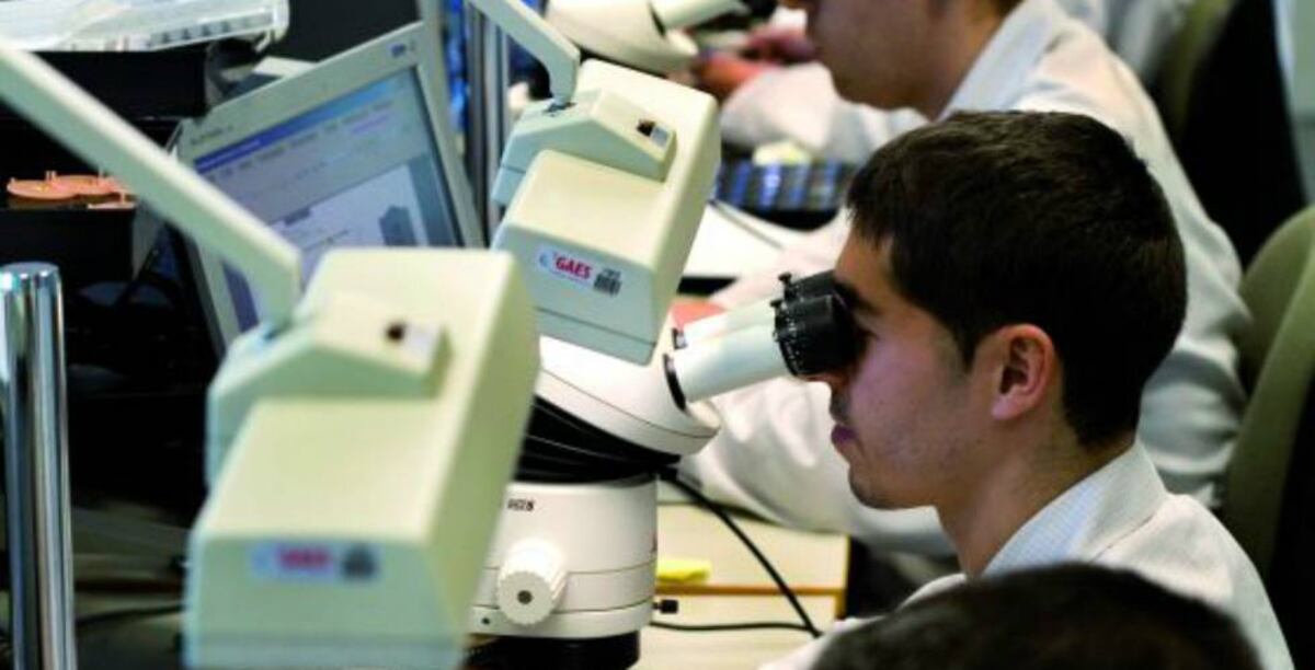 MedLumics capta 34,4 millones para lanzar un producto contra la ...