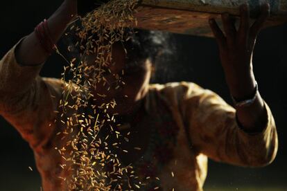 Las imágenes del día, 23/10/2017 | Fotos | Fotos | EL PAÍS