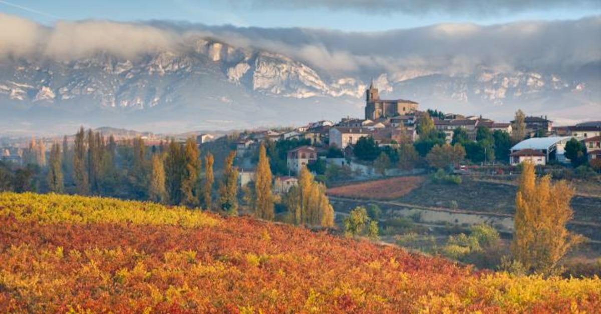 Siete planes para descubrir Álava | El Viajero | EL PAÍS
