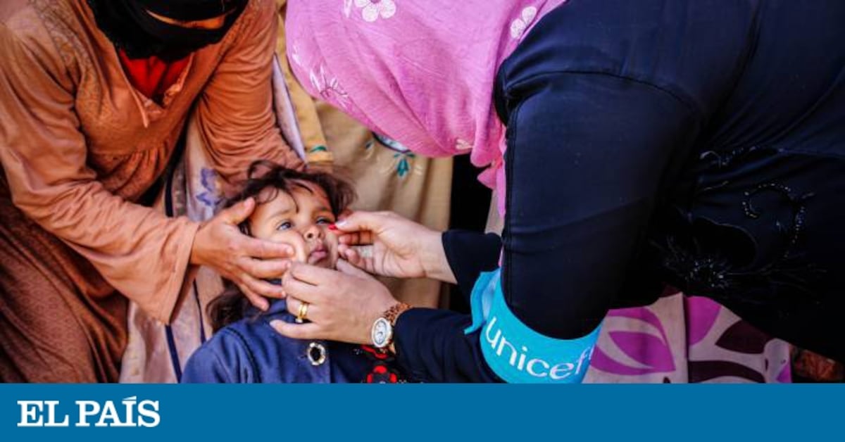 Unicef suministra vacunas a casi la mitad de los niños del mundo ...