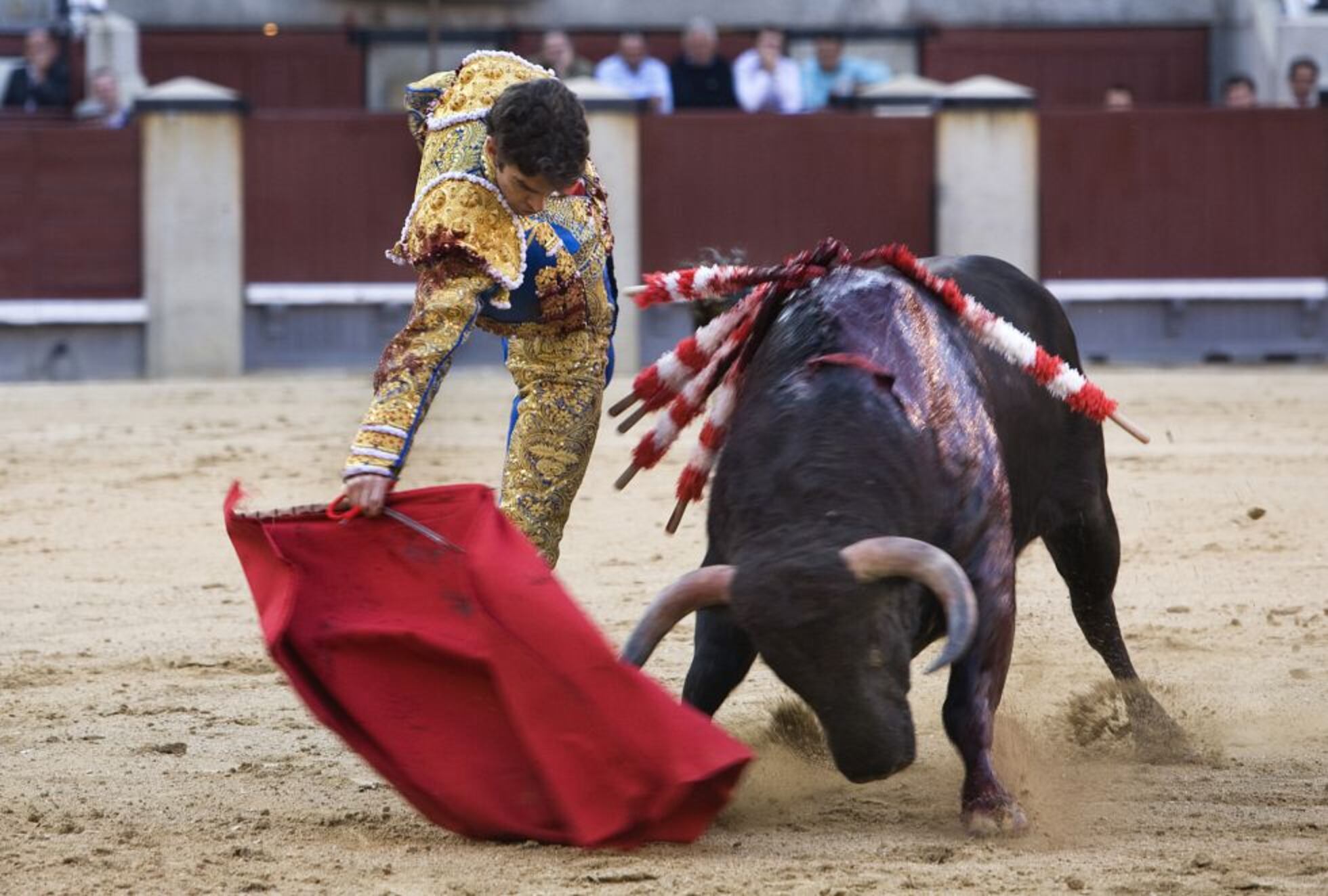 Toreros, por Marisa Flórez | Fotos | Cultura | EL PAÍS