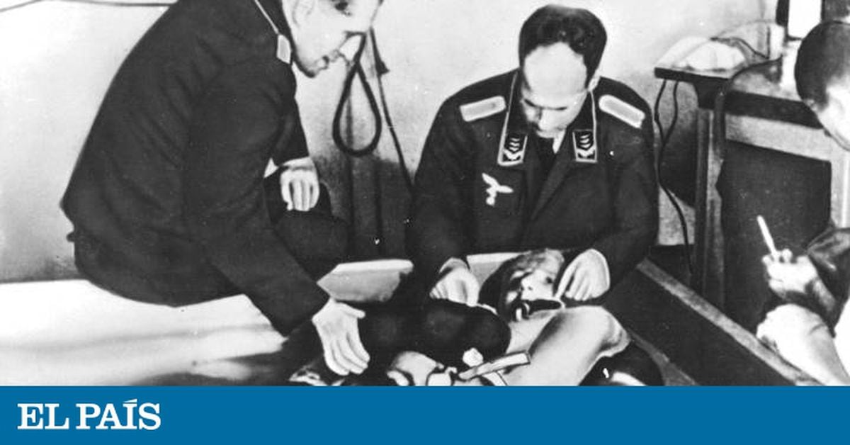 Sigmund Rascher: El médico nazi que mató a 100 personas sumergiéndolas ...