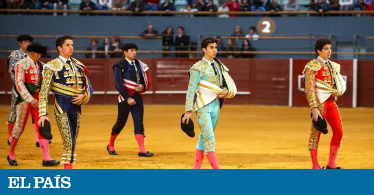 El futuro de la fiesta: “Quiero ser torero” o la zozobra que provoca la ...