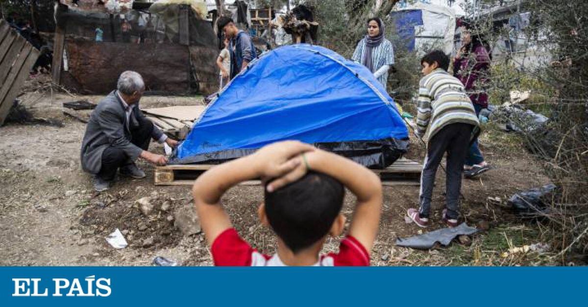 Refugiados: Política de asilo | Opinión | EL PAÍS