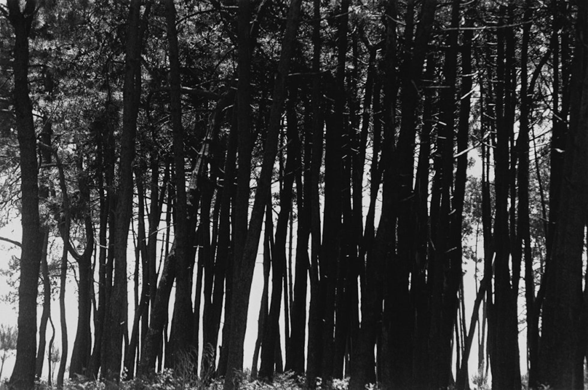 El Alberto Schommer menos conocido | Fotos | Cultura | EL PAÍS