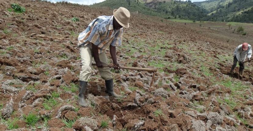 Los ogye de Kenia recobran la esperanza de regresar a sus tierras ...