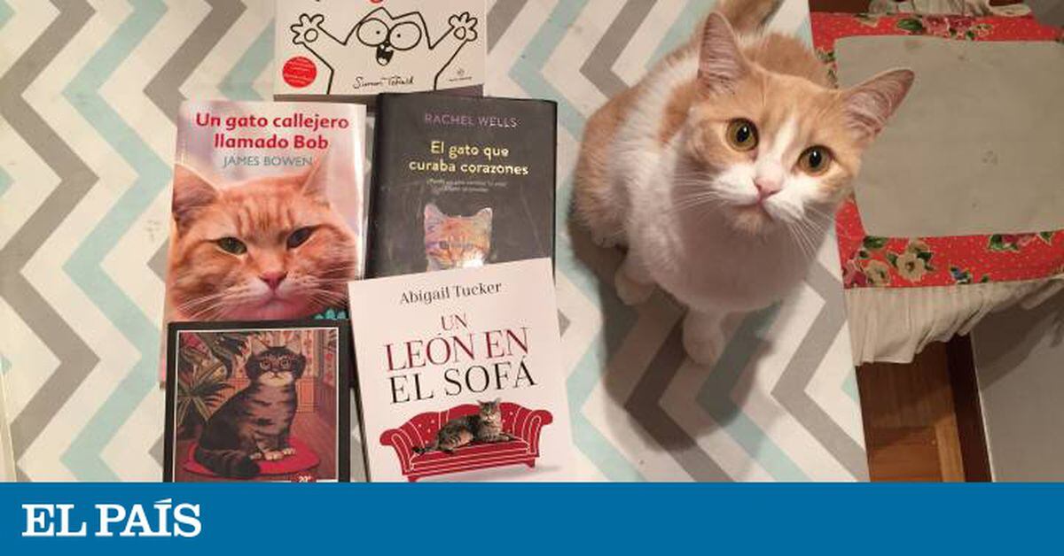 La lista de libros (de gatos) de este verano | Animales y CIA | EL PAÍS