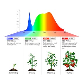 Lámparas LED para cultivo: la solución para que las plantas de interior ...