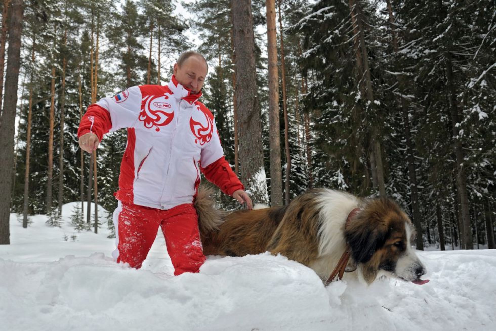 Putin y su amor por los perros | Fotos | Fotos | EL PAÍS