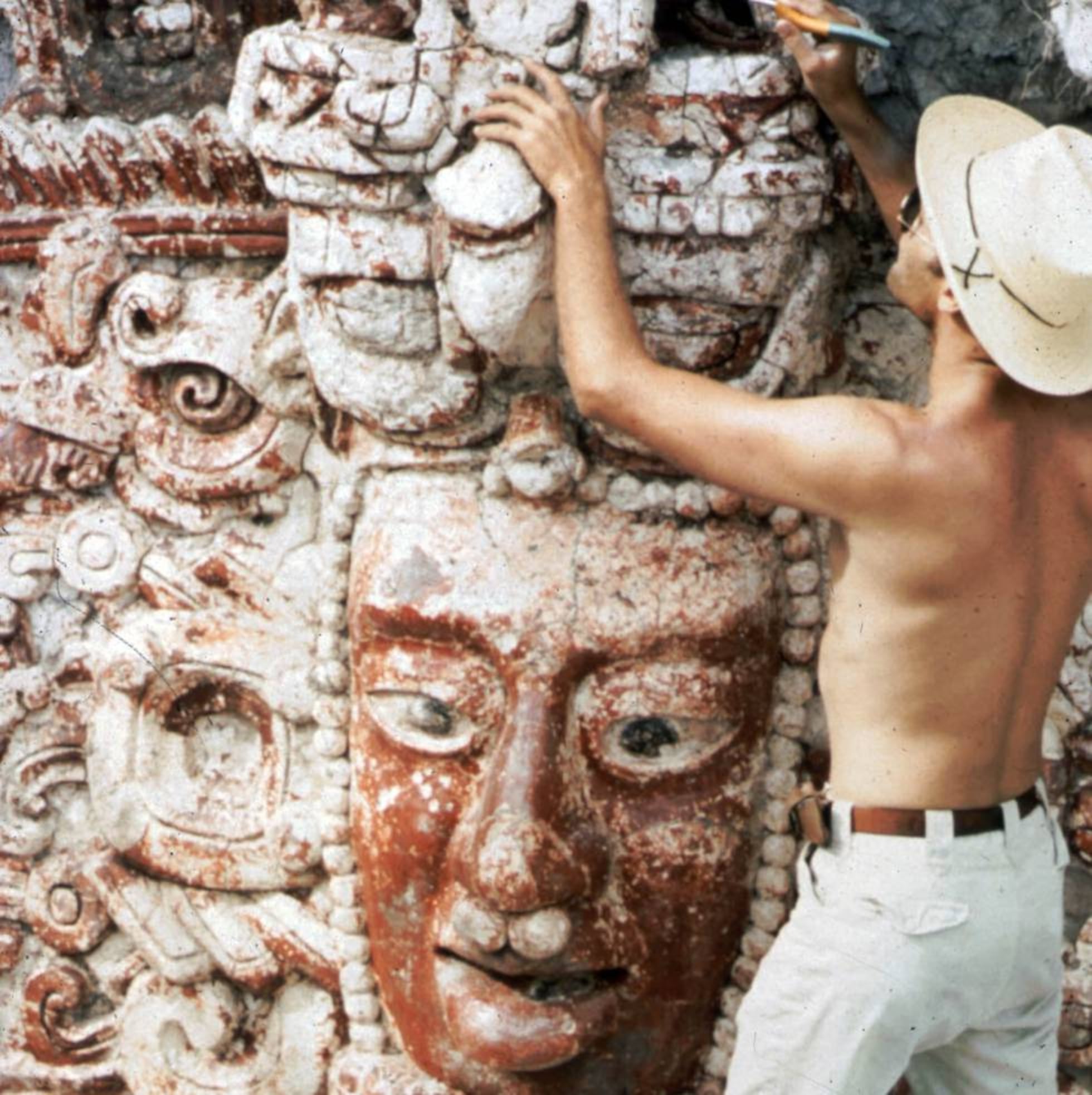 Memorias de un robo en la selva maya (y de tres o cuatro orquídeas ...