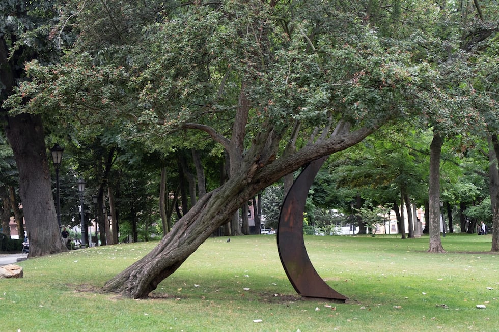 Cómo salvar al árbol torcido (y por qué es importante) | Estilo de vida ...
