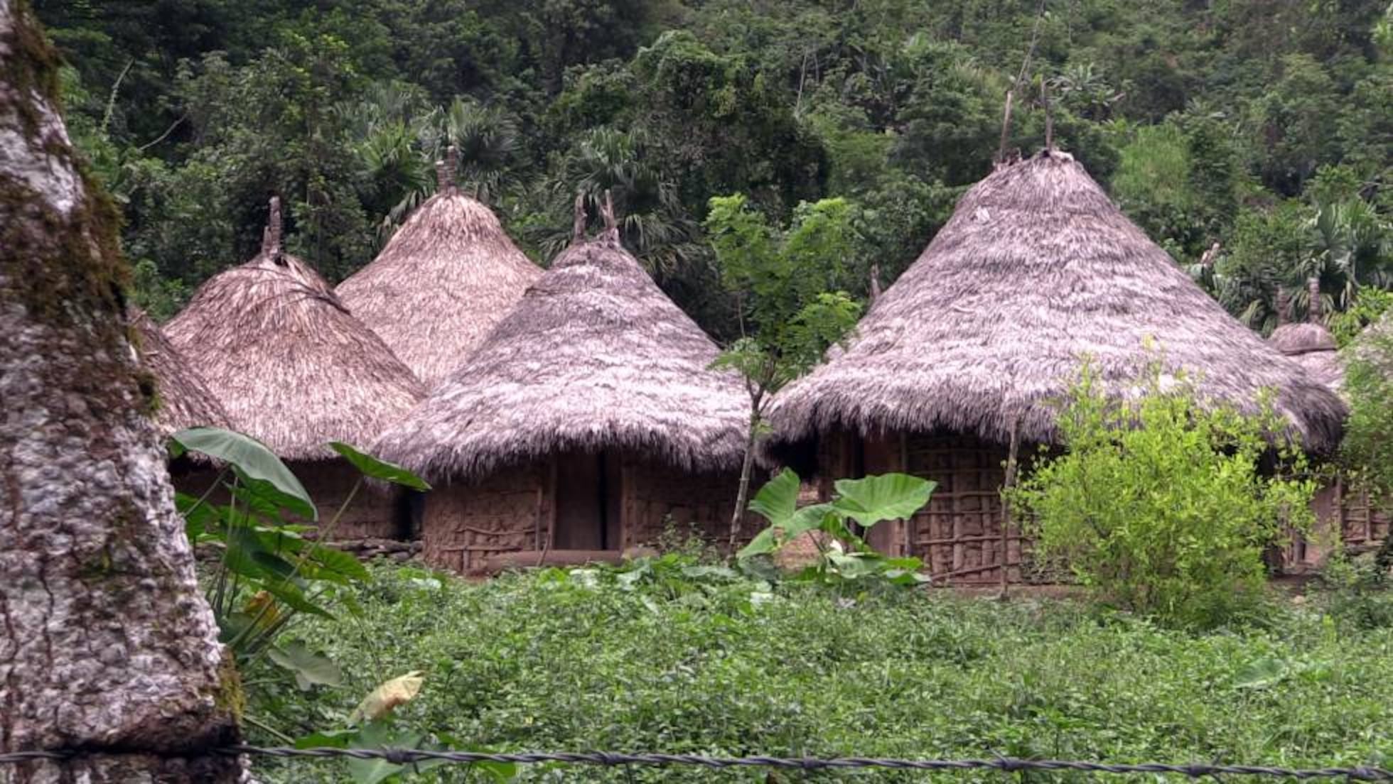 Koguis, los orgullosos habitantes de la Sierra Nevada de Colombia | El ...