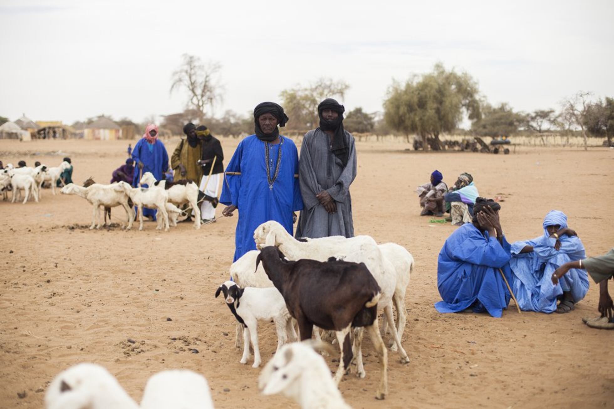 Senegal El Ferlo, un desierto que invoca a la lluvia: El Ferlo, un ...