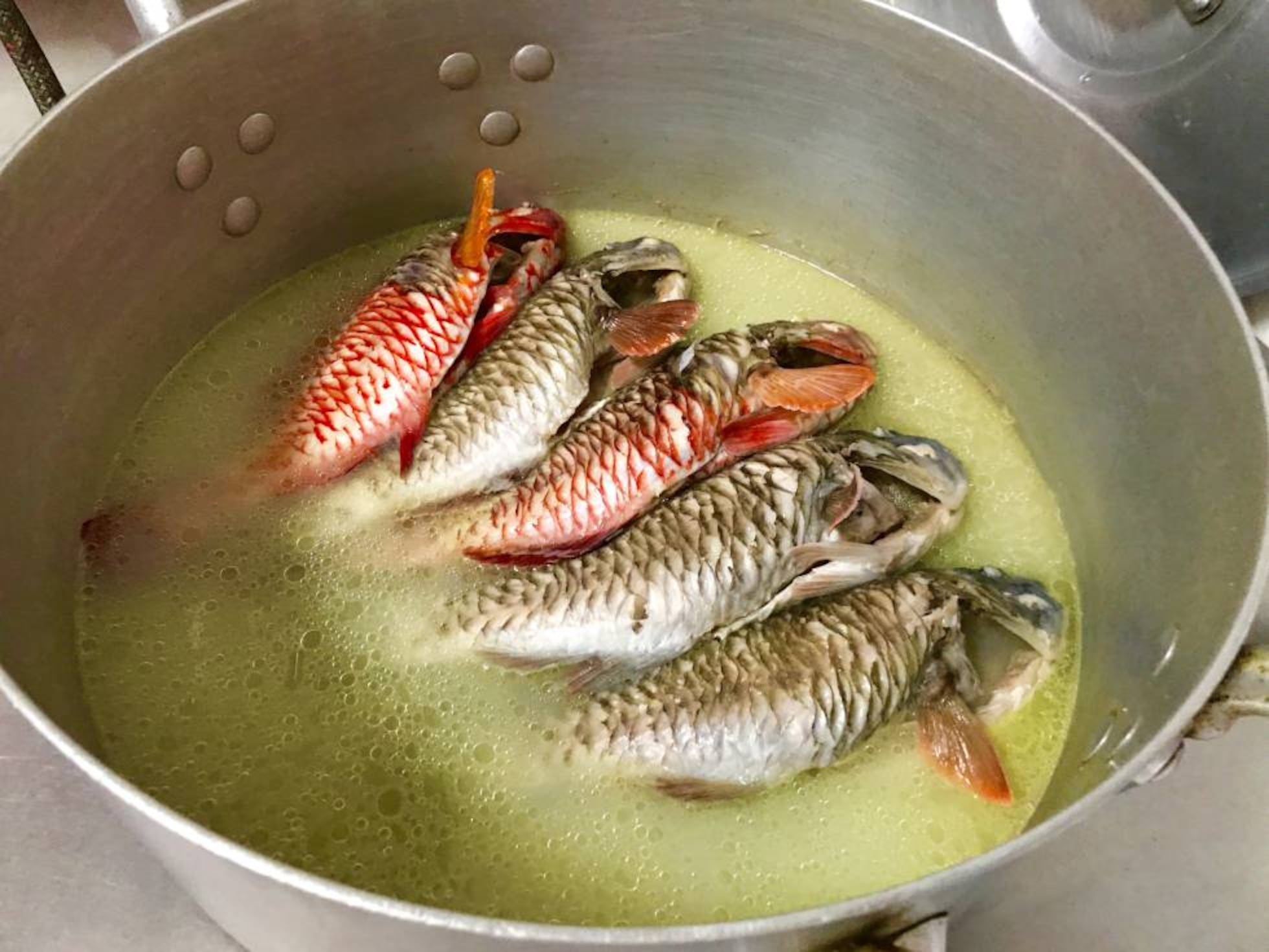 Las suculentas viejas guisadas con “fuagrás” marino de El Drago ...