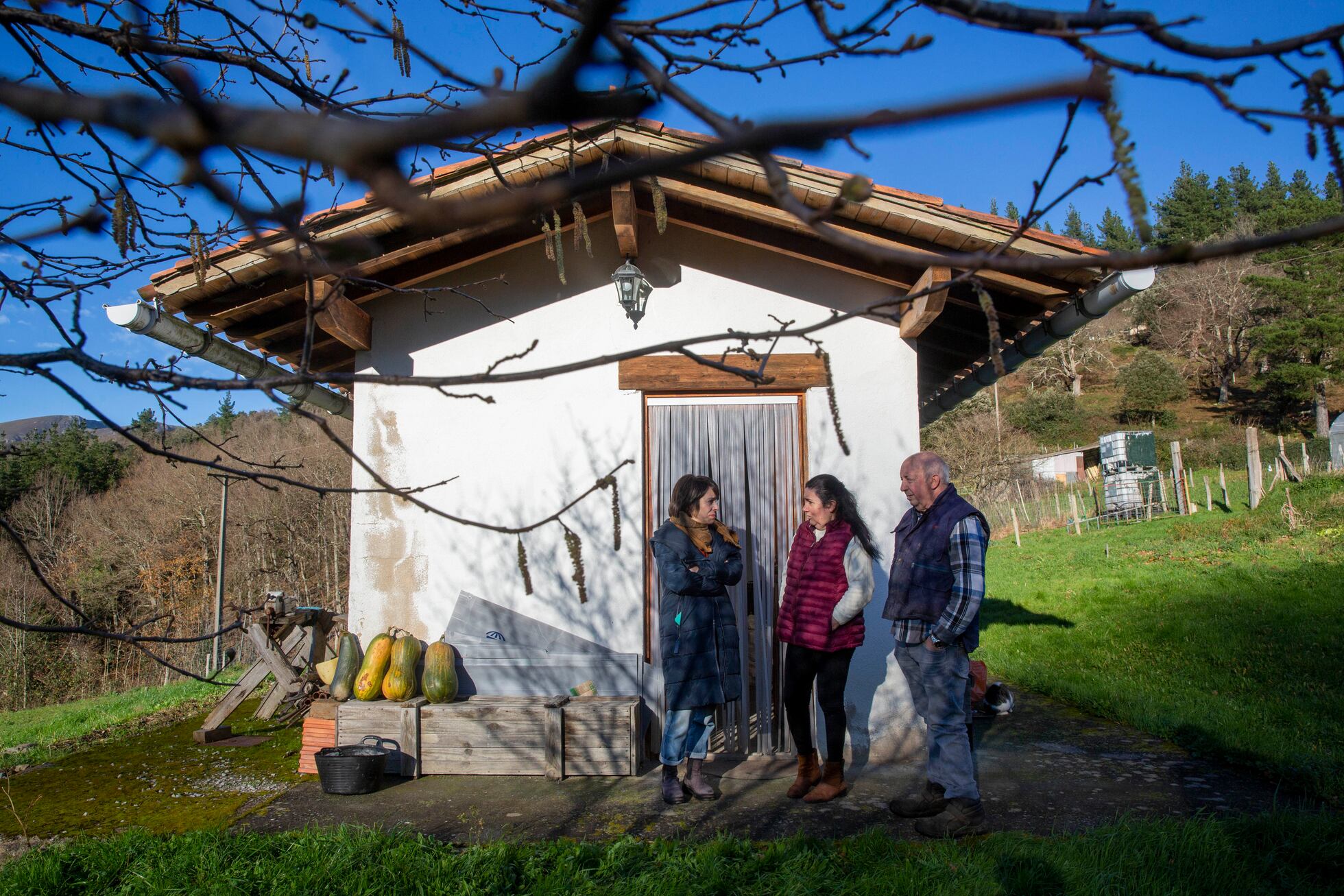 Los lugares que alumbraron ‘20.000 especies de abejas’, la favorita de ...