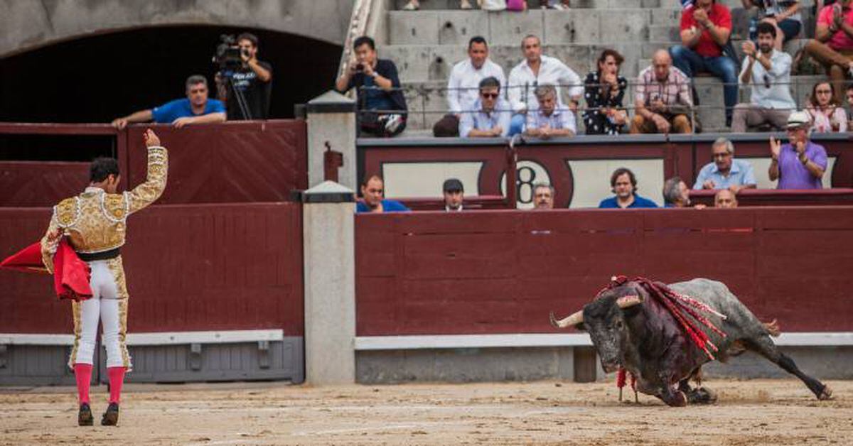 Protagonista, el toro | Cultura | EL PAÍS