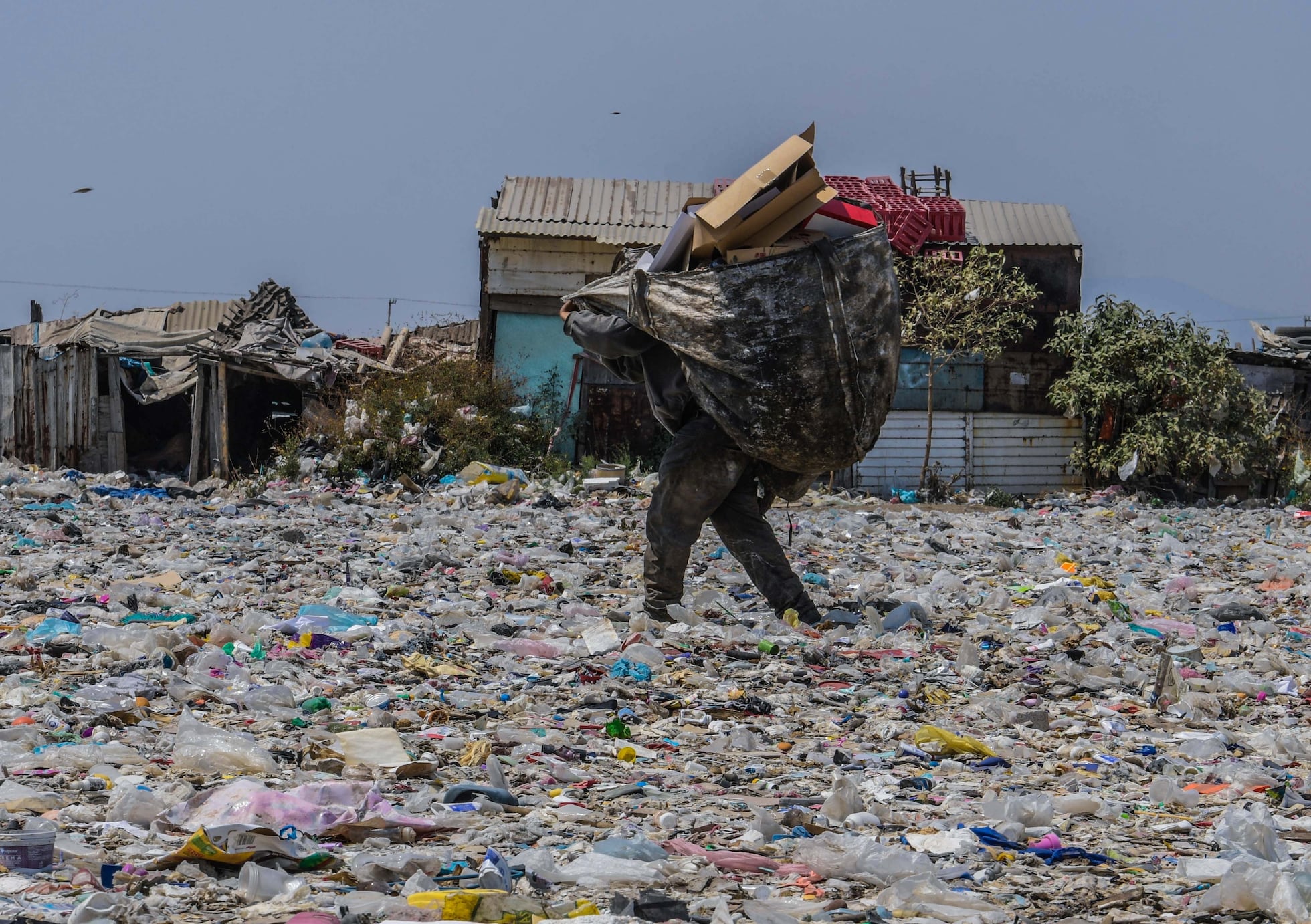 El dilema de México y sus siete millones de toneladas de basura ...