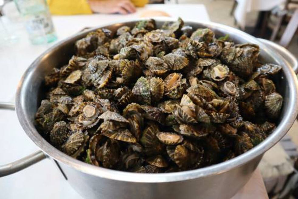 Lapas: el marisco pobre que se convirtió en manjar | El Comidista ...