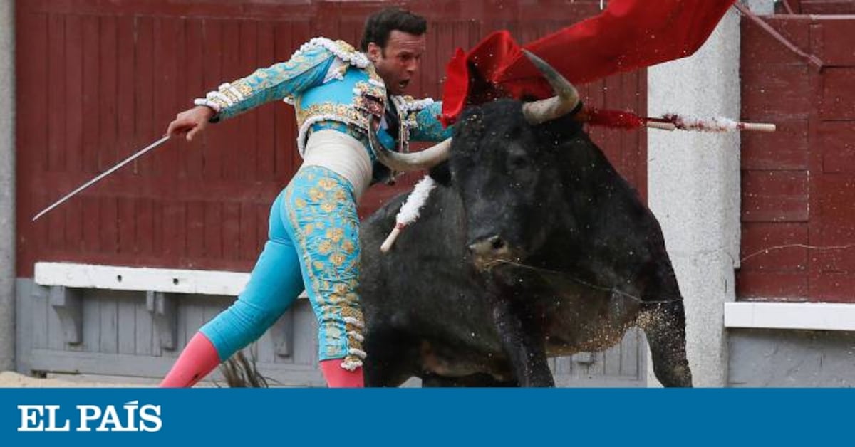 Antonio Ferrera, un mago del toreo | Cultura | EL PAÍS