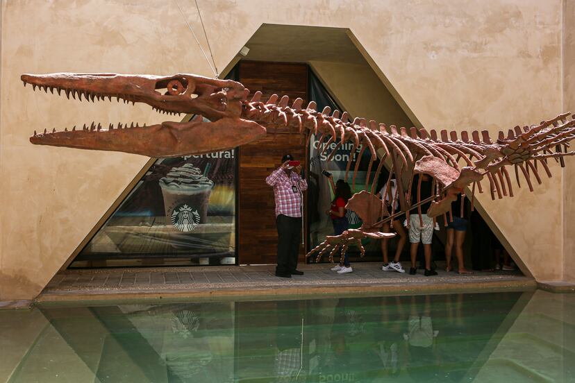 Una experiencia más que jurásica desde el golfo de México: el Museo del ...