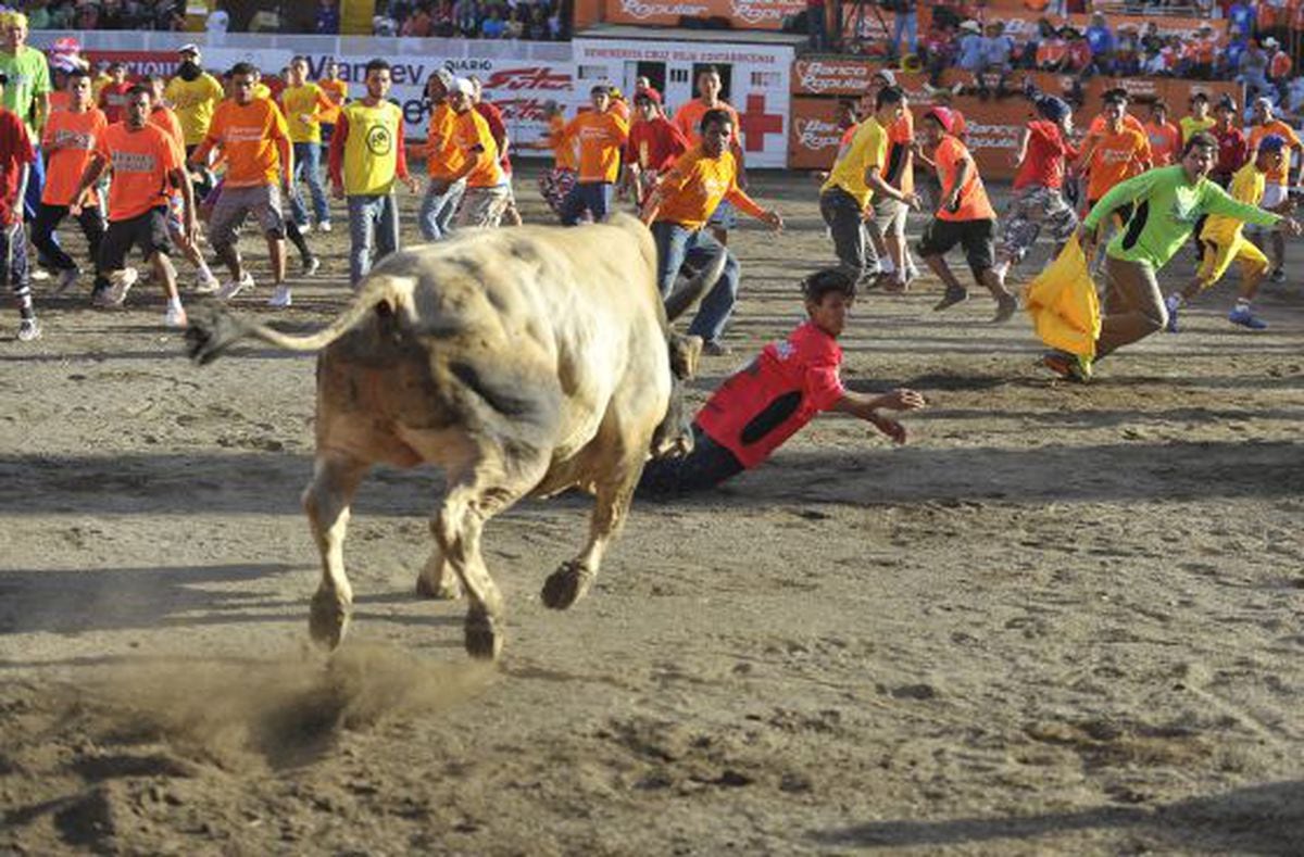 El circo popular en Costa Rica: ‘toros a la tica’ | Cultura | EL PAÍS