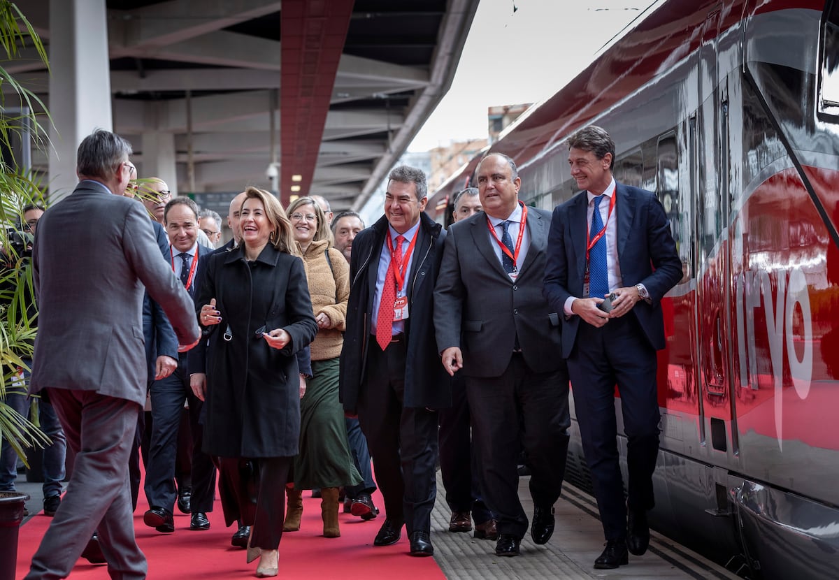 La ‘flecha roja’ de Iryo apuesta por la flexibilidad para hacerse con ...