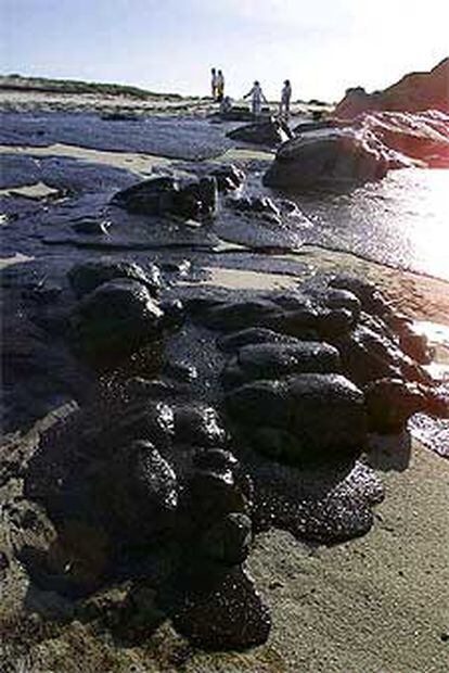 Voluntarios recogen chapapote en Galicia | España | EL PAÍS