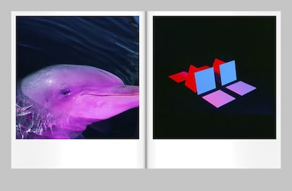 Las metáforas visuales de John Divola | Fotos | Cultura | EL PAÍS