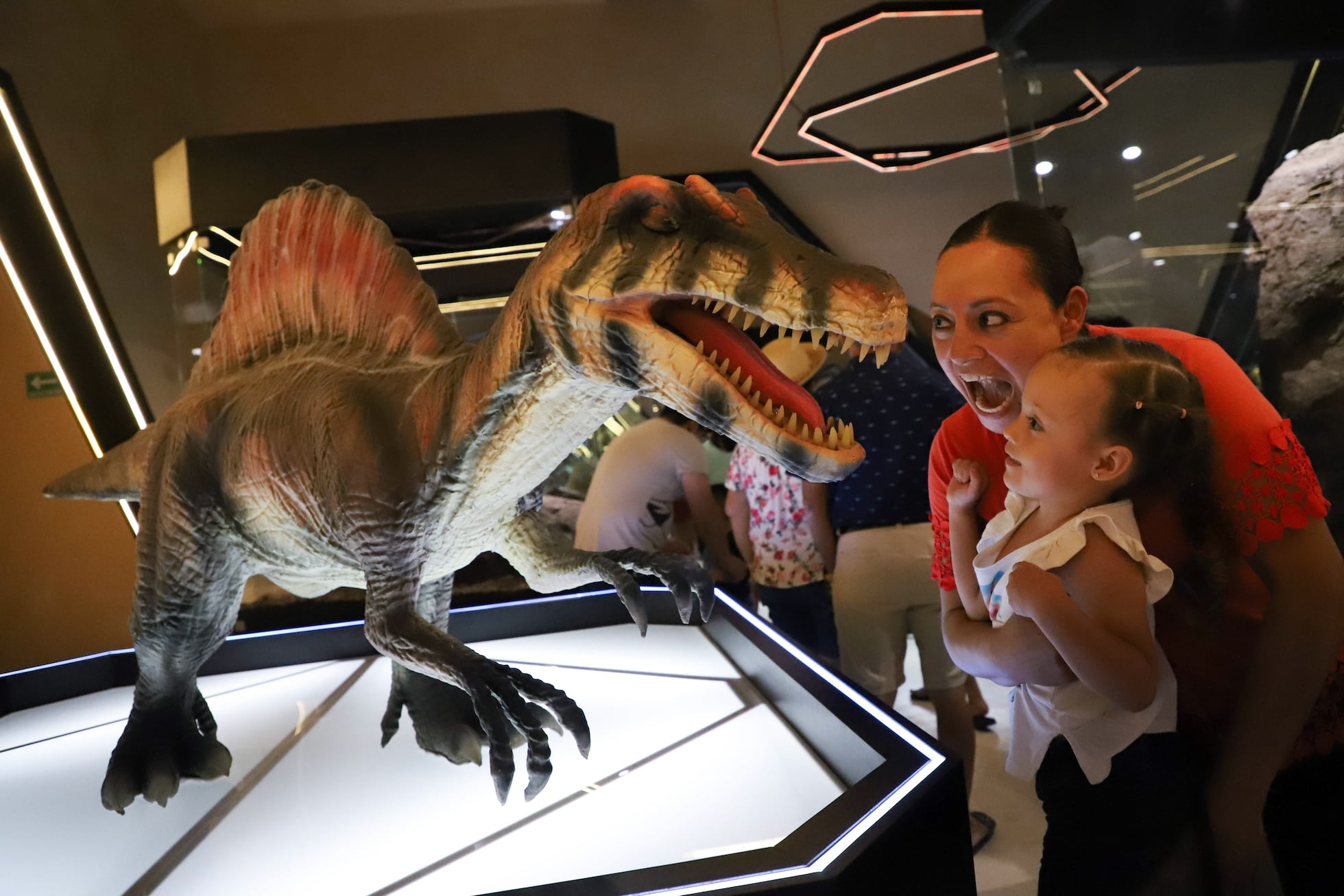 Una experiencia más que jurásica desde el golfo de México: el Museo del ...