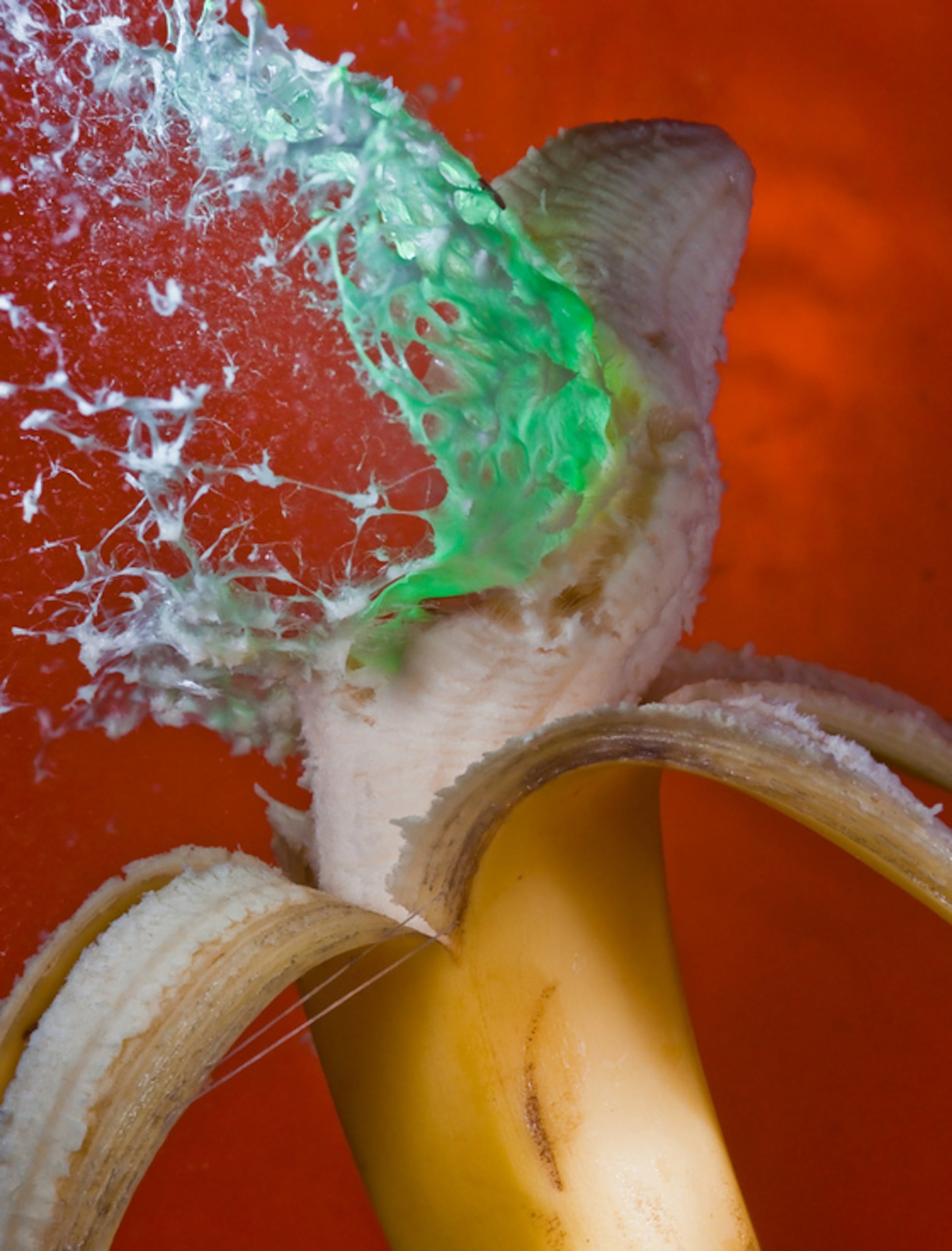 Comida en explosión: las impactantes fotos de Alan Sailer | El ...