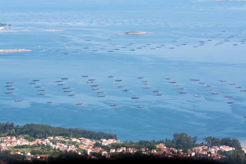 A Illa de Arousa, 10 encantos de una isla playera con sabor a marisco ...