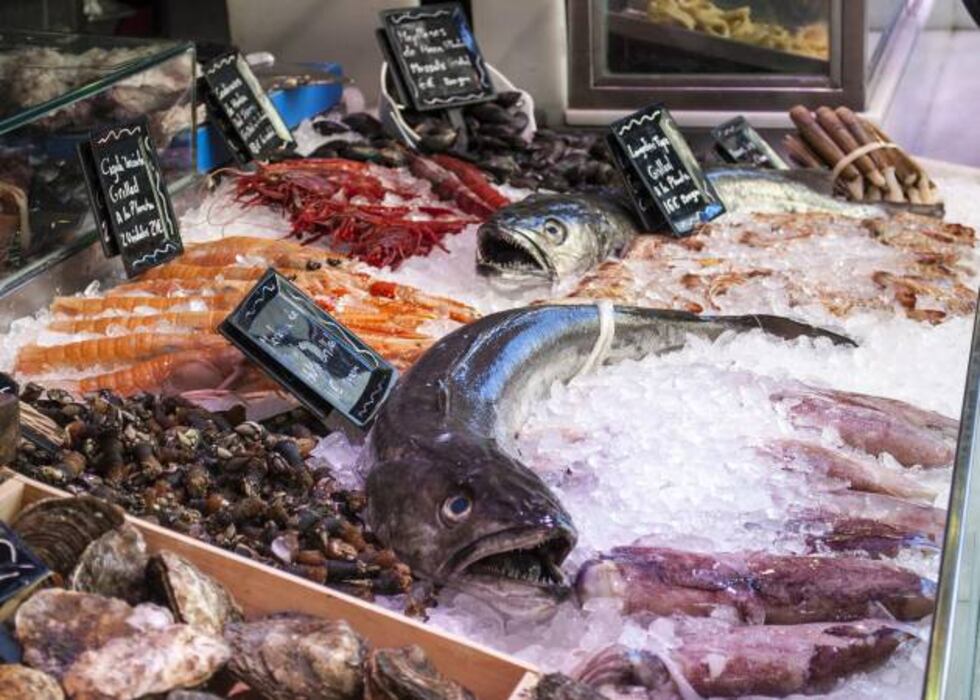 Microplásticos en la comida: su efecto en la salud y cómo reducirlos ...
