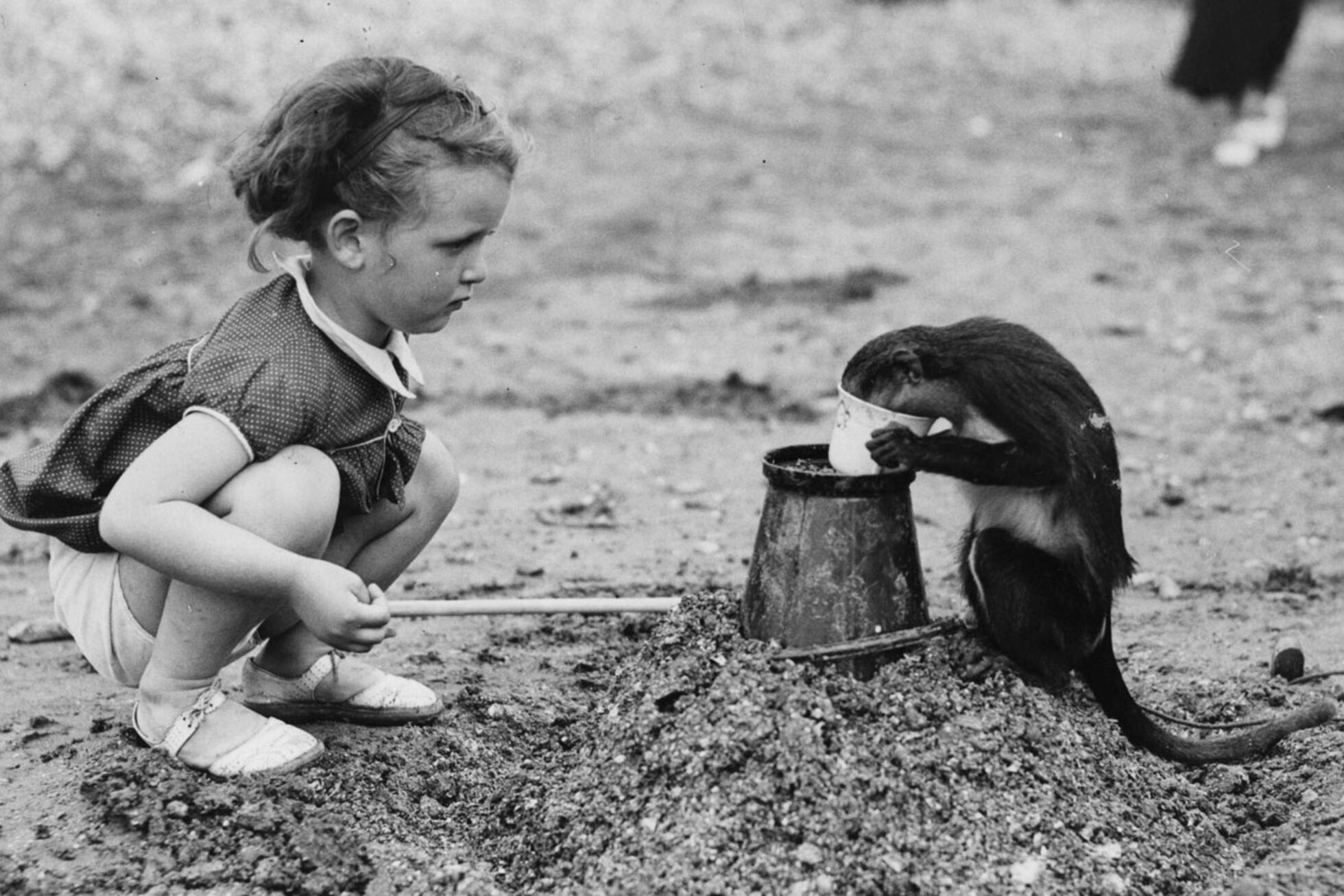 Los animalitos más monos del siglo pasado | Fotos | Placeres | S Moda ...
